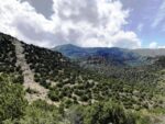 13 Healing Natural Hot Springs In Arizona 2026